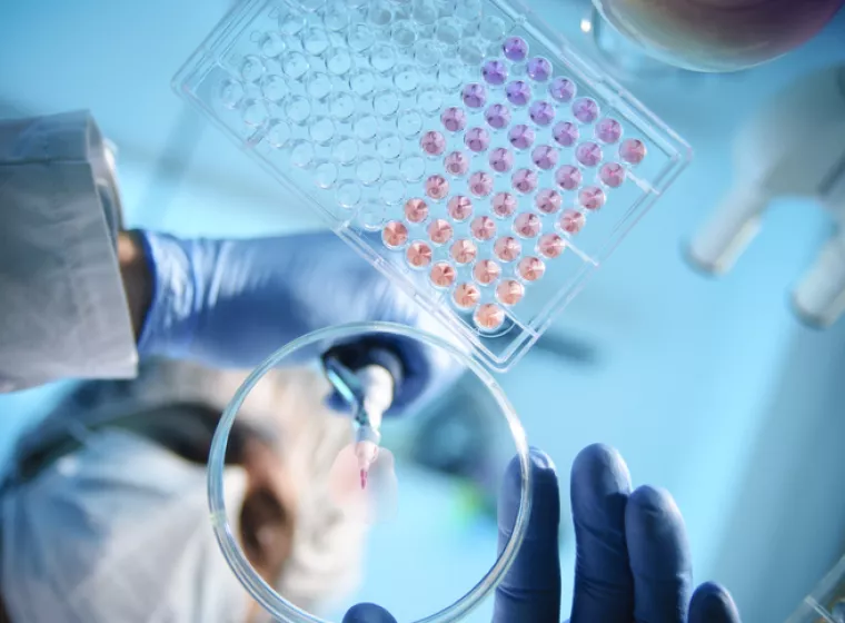 Expertise | Exponent